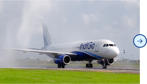 IndiGo Round-up 2022 | Yearly Travel Report | IndiGo