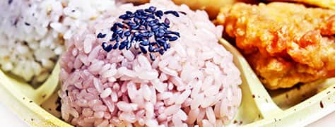 Bangalore Travel Guide, Bangalore Tourism, Places to visit in Bangalore