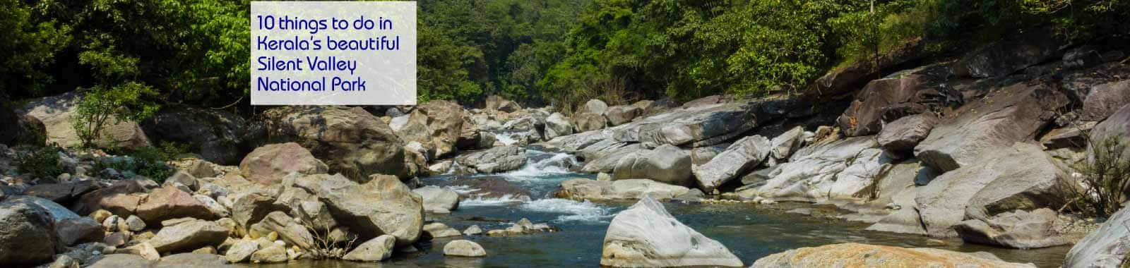 Silent Valley National Park - Things to do, Places to visit