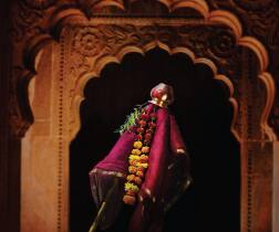 Travel and Capture Beautiful World with Nofilter | IndiGo