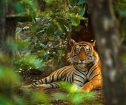 Travel and Capture Beautiful World with Nofilter | IndiGo