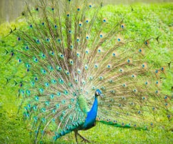 Travel and Capture Beautiful World with Nofilter | IndiGo