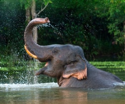 Travel and Capture Beautiful World with Nofilter | IndiGo