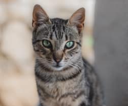 Travel and Capture Beautiful World with Nofilter | IndiGo