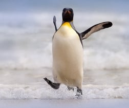 Travel and Capture Beautiful World with Nofilter | IndiGo