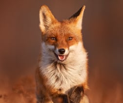 Travel and Capture Beautiful World with Nofilter | IndiGo