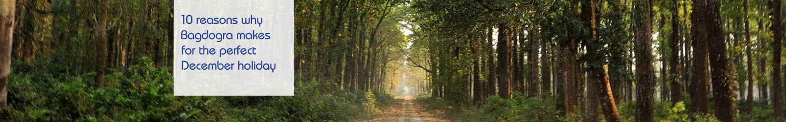 Why Visit Bagdogra? 10 Reasons to Plan a Holiday in Bagdogra