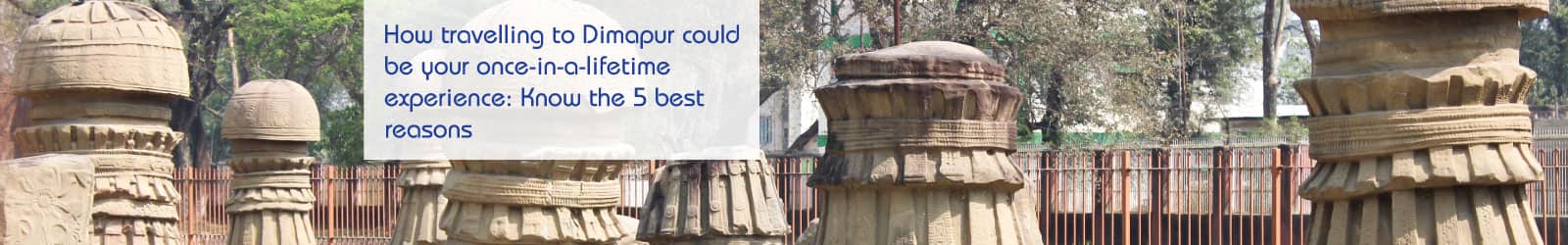 Why visit Dimapur? 5 Reasons for Travelling to Dimapur