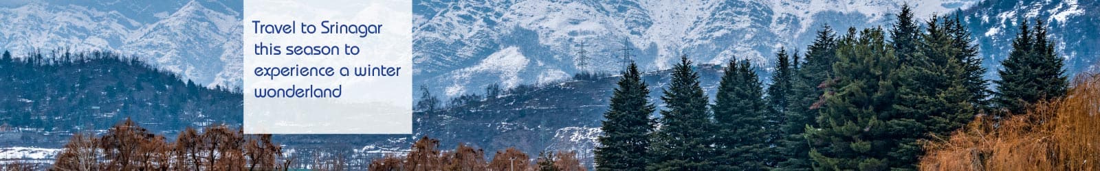 Winters in Srinagar - Reasons to Visit Srinagar this Winter Season