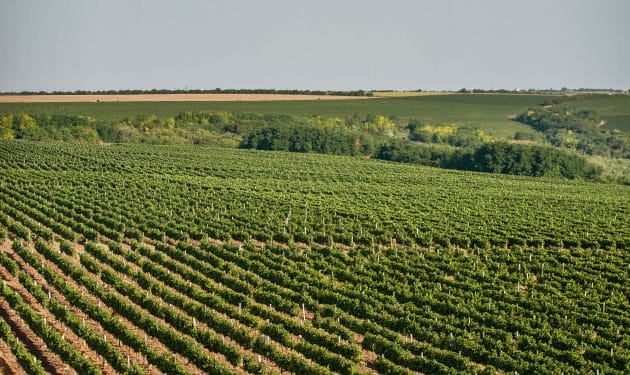 Nashik Airport (ISK) - IATA, Pin Code, Terminal Information | IndiGo