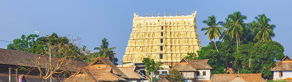 Trivandrum International Airport (TRV) - IATA, Pin Code, Terminal ...