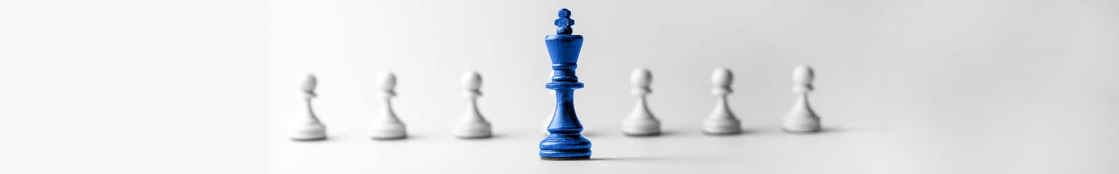 IndiGo Leadership Team - Know more of IndiGo Leaders | IndiGo