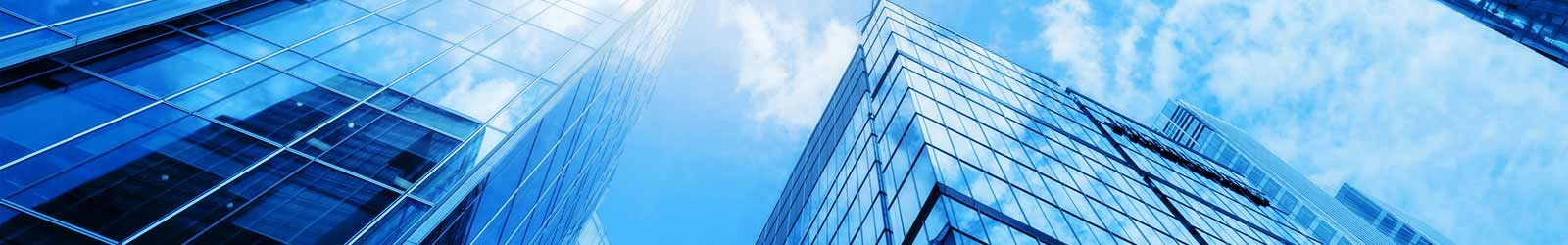 InterGlobe Enterprises - Aviation, Hospitality and Travel Services ...