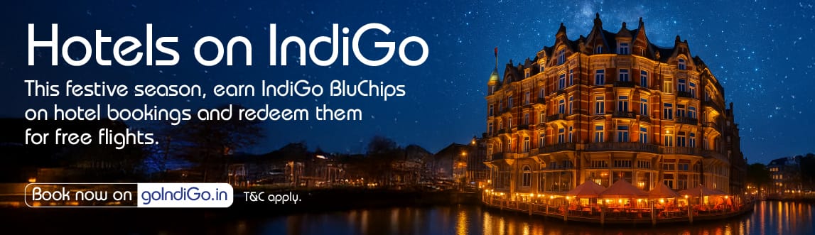 View & Print Boarding Pass - IndiGo