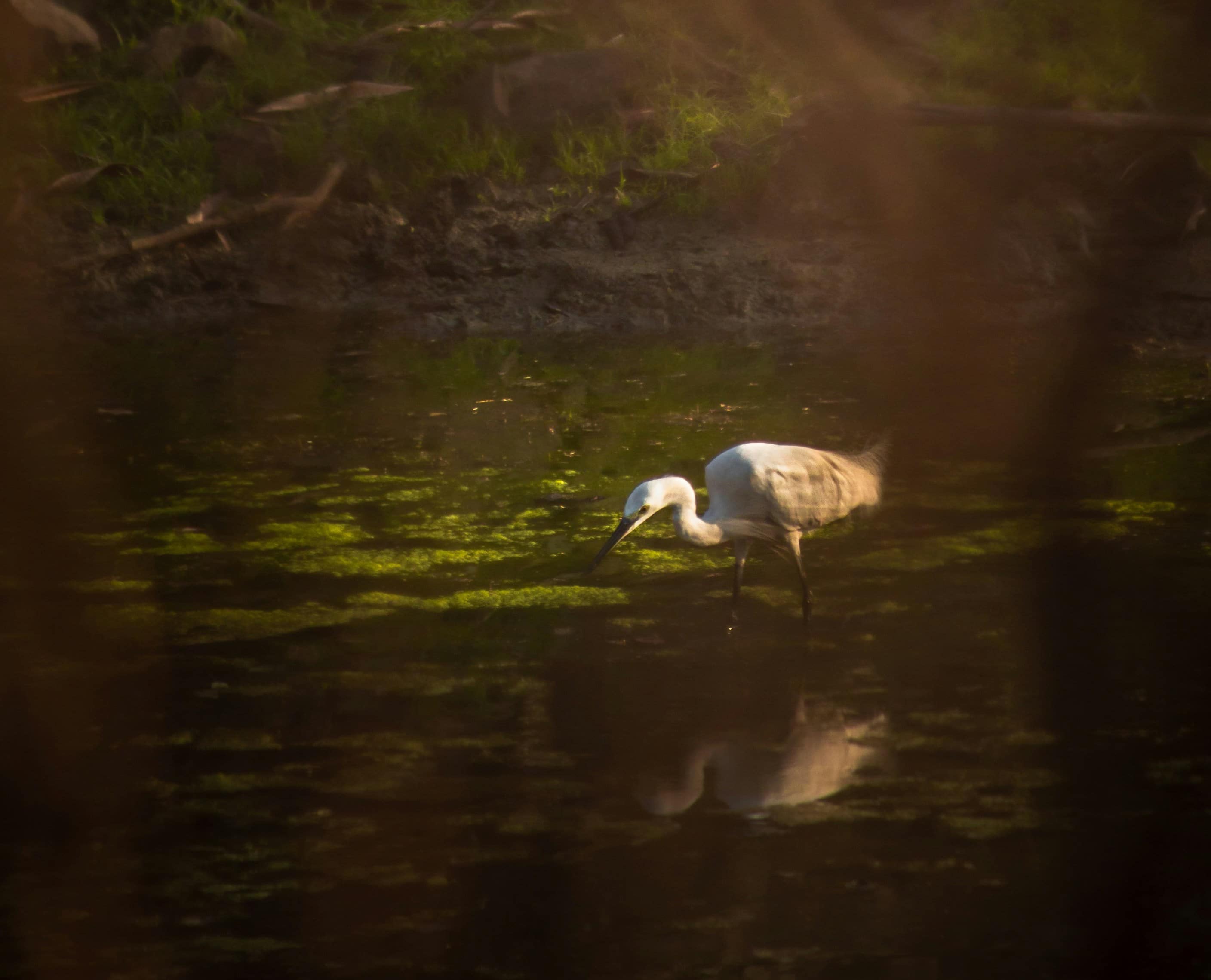 Nagpur Travel Guide, Nagpur Tourism, Places to Visit in Nagpur – IndiGo